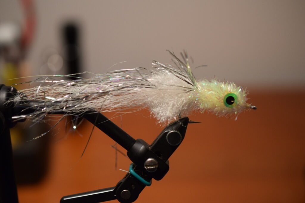 Largemouth vs Smallmouth: What's the Difference? - Wooly Buggin'