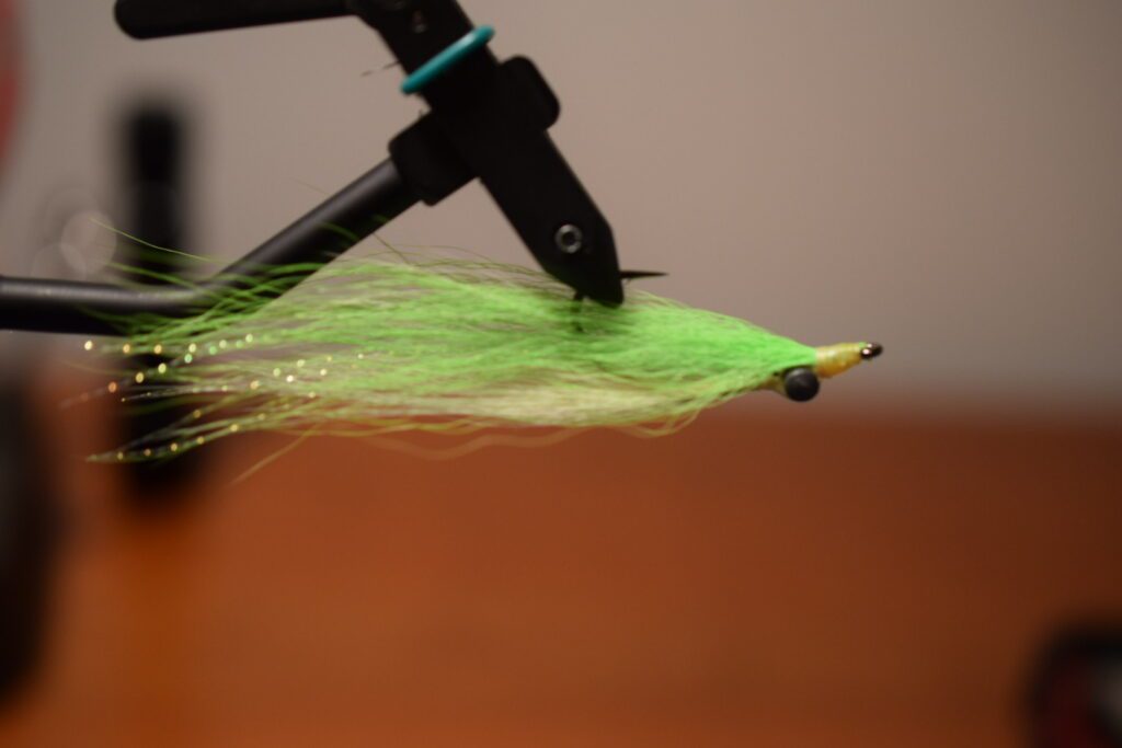 Largemouth vs Smallmouth: What's the Difference? - Wooly Buggin'