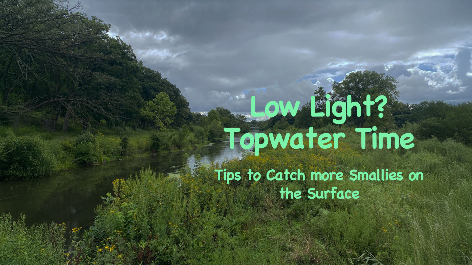 Low Light Magic: Topwater Smallmouth Tips - Wooly Buggin'