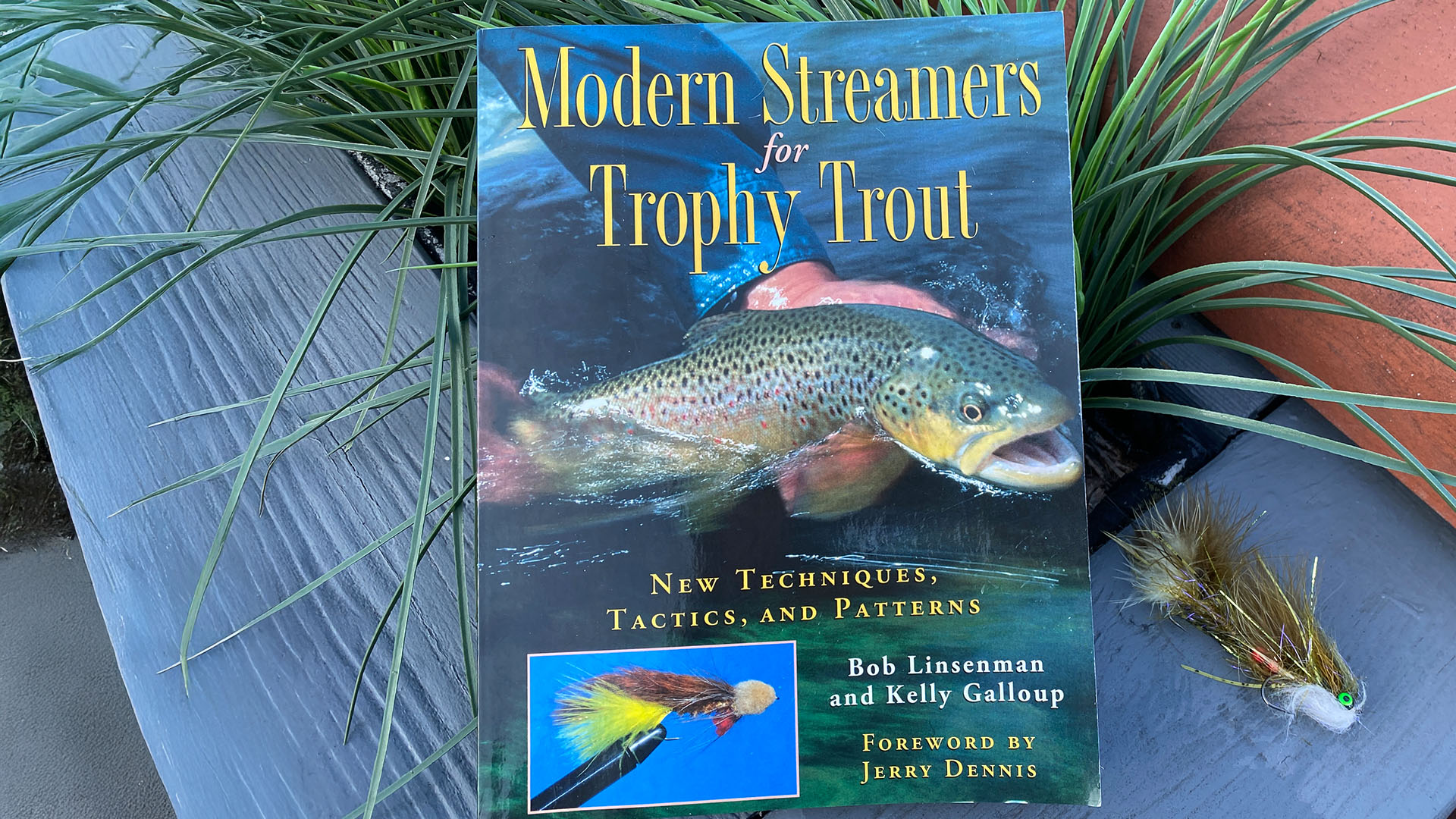 Why You Should Read "Modern Steamers for Trophy Trout": A Review ...